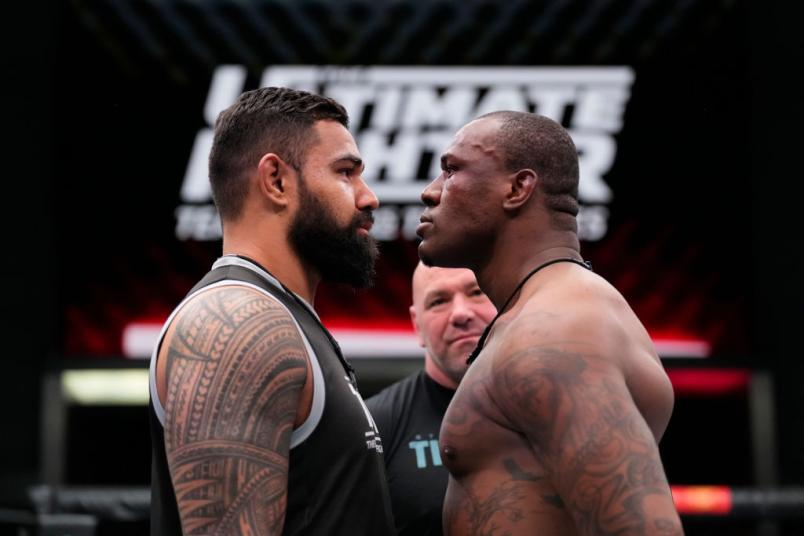 Mohammed Usman Returns at UFC Fight Night: Santos vs Hill - ArabsMMA